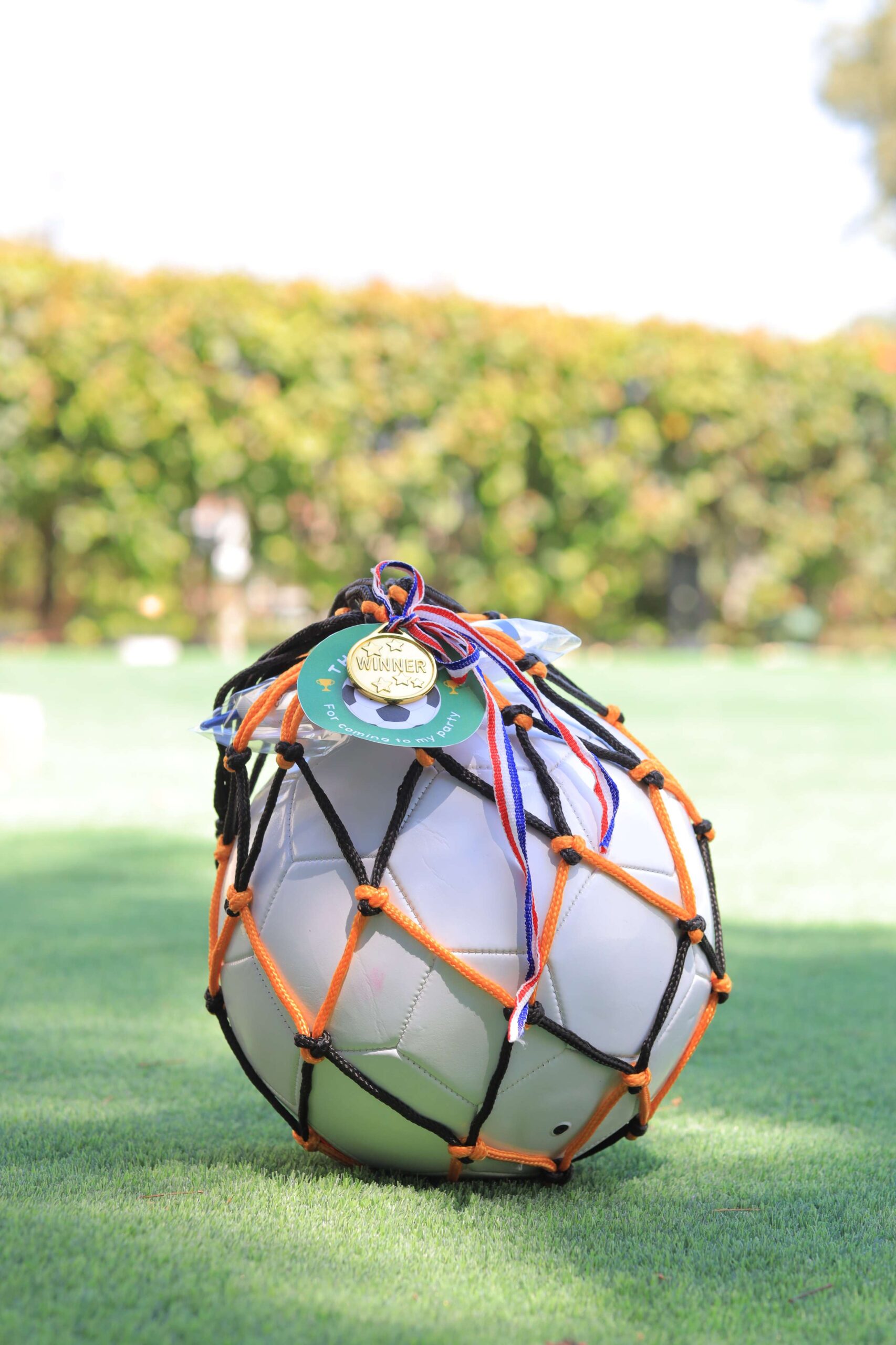 DIY Football Kit – Clever Carton